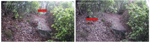 Integration Between Cascade Region-Based Convolutional Neural Network and Bi-Directional Feature ...