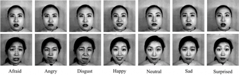 Transfer Learning Technique with EfficientNet for Facial Expression Recognition System | IIETA