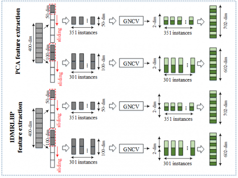 Multi-Grained Deep Cascade Learning for ECG Biometric Recognition | IIETA