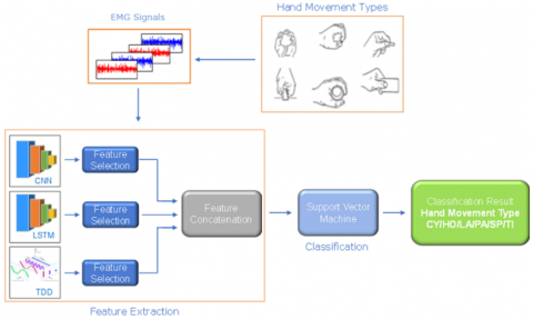 EMG Signal Classification Using Deep Learning and Time Domain Descriptors-Based Feature ...