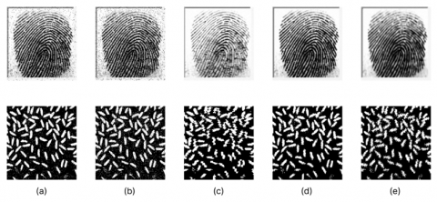 Enhancing Biometric Fingerprint Security Through Integrated ...