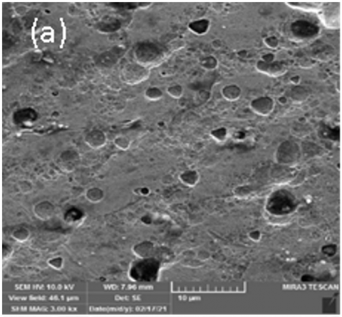 Microstructure and Mechanical Properties Assessments of 304 Austenitic ...