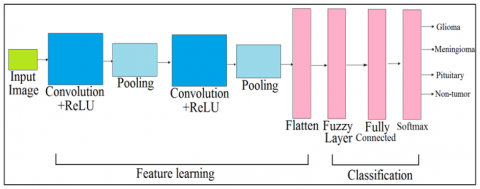 Diagnosis of Medical Images Using Fuzzy Convolutional Neural Networks ...