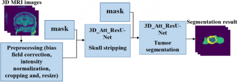 Advances in Brain Tumor Segmentation and Skull Stripping: A 3D Residual Attention U-Net Approach ...