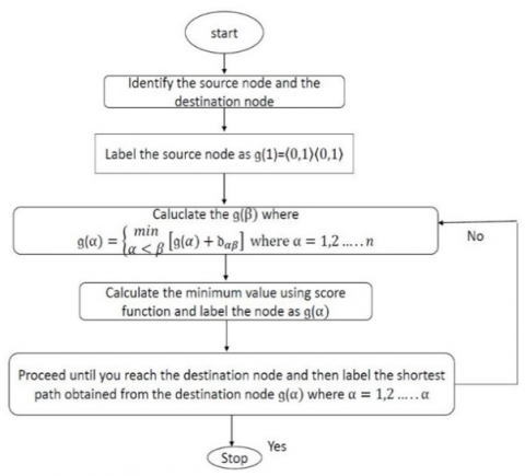 Employing the Bellman-Ford Algorithm with Score Functions to Address the Linear Diophantine ...