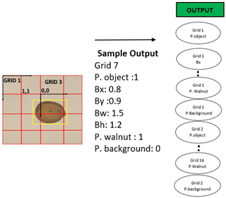 A Raspberry Pi-Guided Device Using an Ensemble Convolutional Neural Network for Quantitative ...