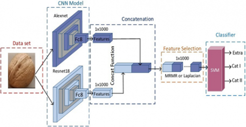 A Raspberry Pi-Guided Device Using an Ensemble Convolutional Neural Network for Quantitative ...