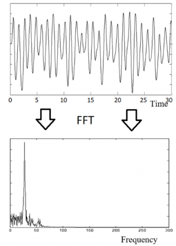 Video-Based Discrimination of Genuine and Counterfeit Facial Features ...