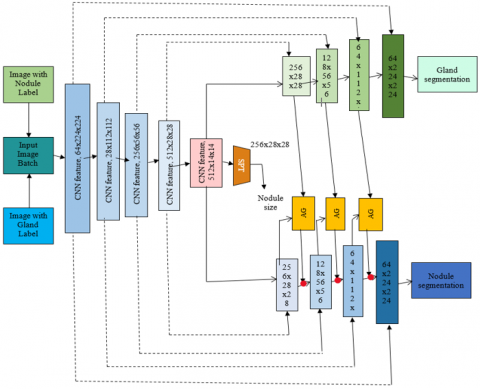 Swin Transformer and Attention Guided Thyroid Nodule Segmentation on Ultrasound Images | IIETA