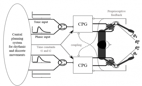 Unified Neuromechanical Control Model for Rhythmic and Discrete Hand Movements | IIETA